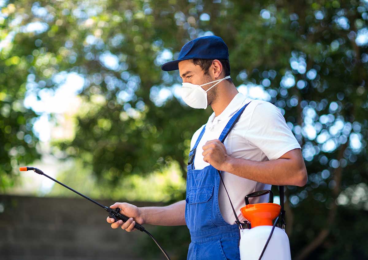 General Pest Control & Routine Treatment Service || Pest Patrol