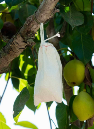 Bird Removal - Pest Patrol