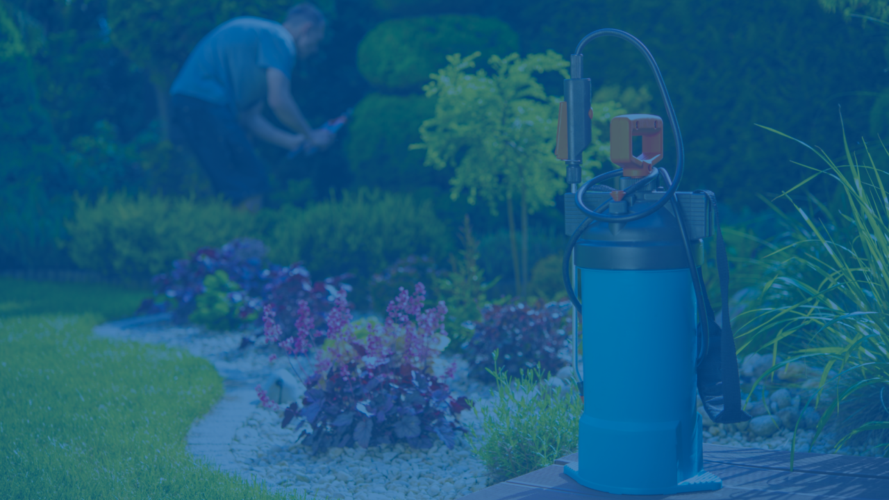 Green Pest Control in San Diego California || Pest Patrol