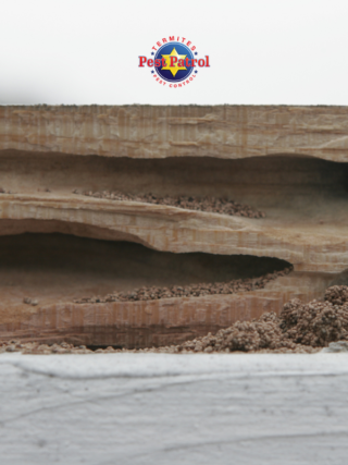 Repairing Termite Damage - Pest Patrol